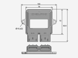 Delphi - Technical Services